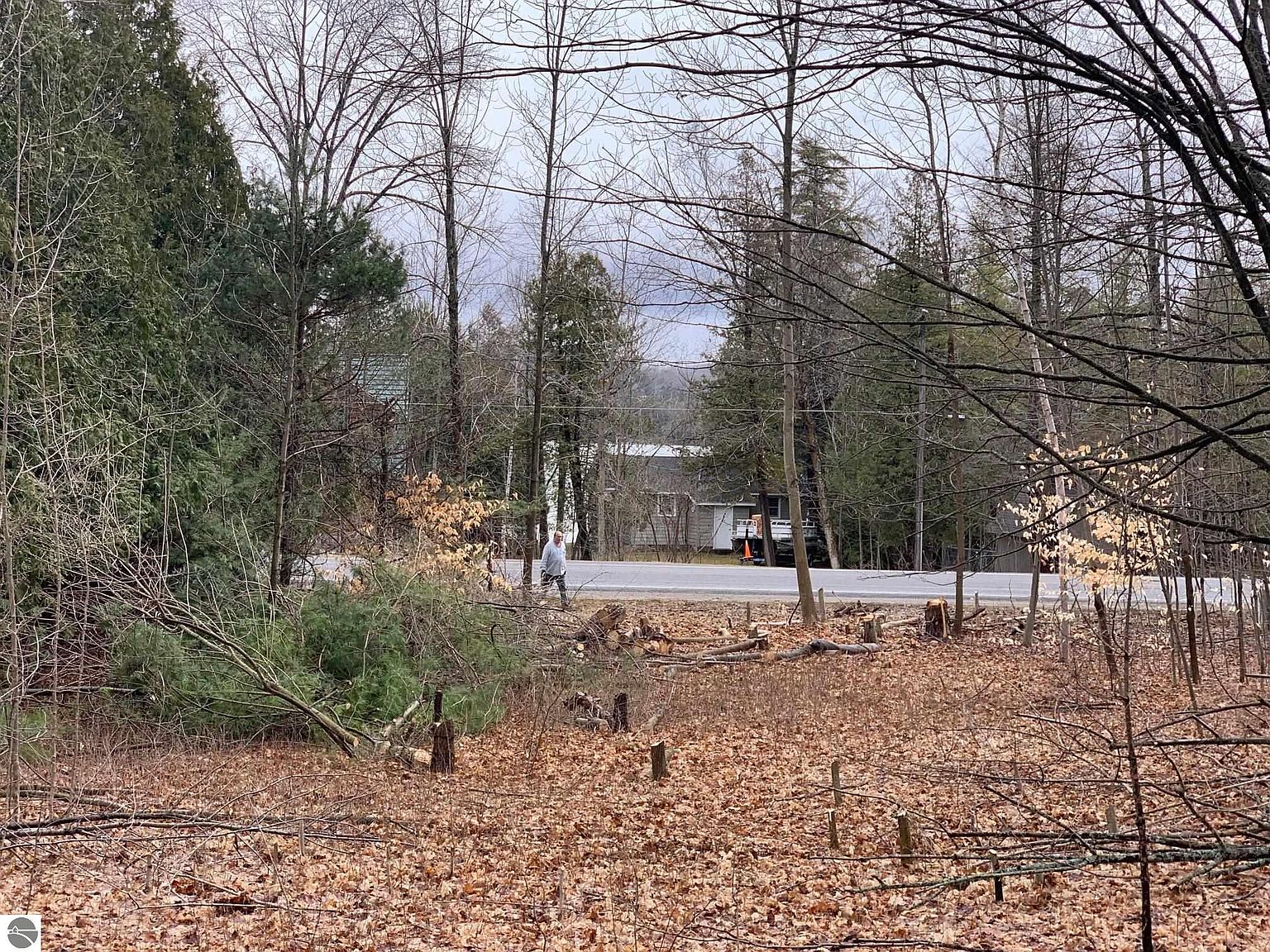 0 S Maple City Rd, Maple City, MI 49664 | Zillow