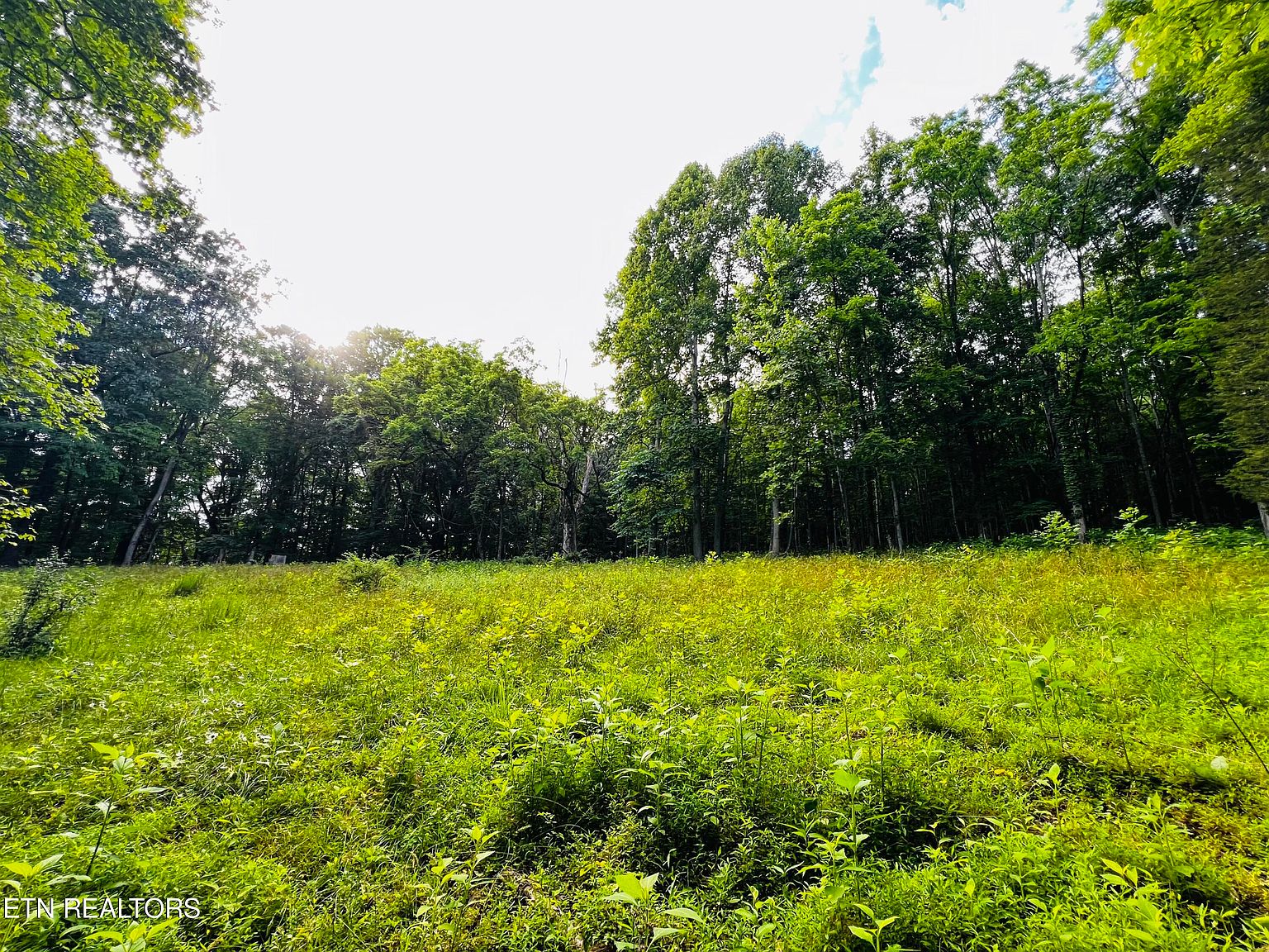 Sandy Ridge Rd, Jonesville, VA 24263 | Zillow