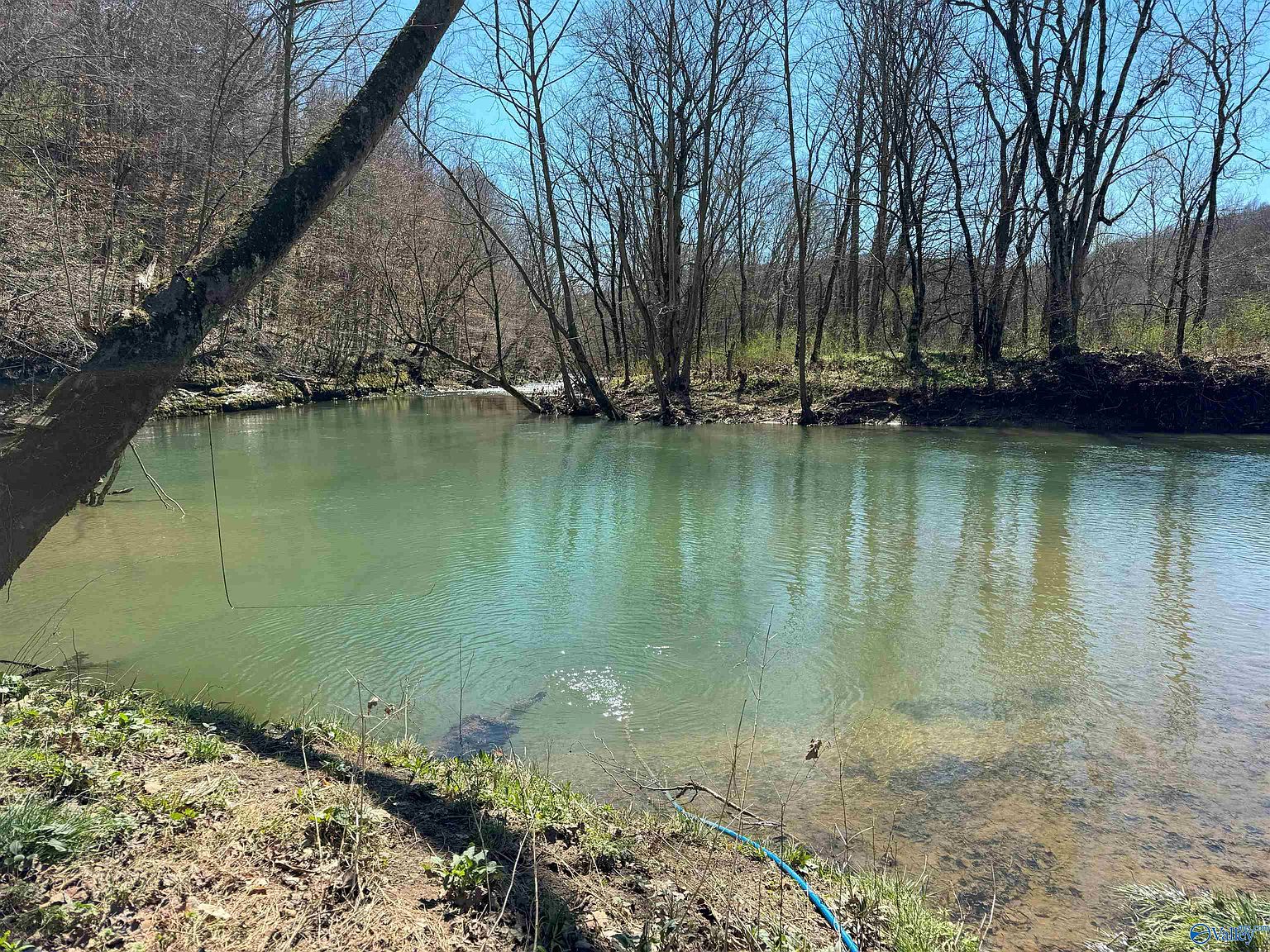 21719 State Highway 65, Estillfork, AL 35745 | Zillow