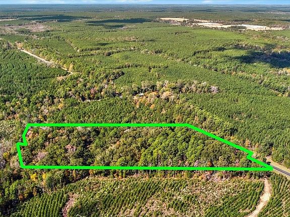 9081 State Highway 103, Bronson, TX 75930 | MLS #14101073 | Zillow