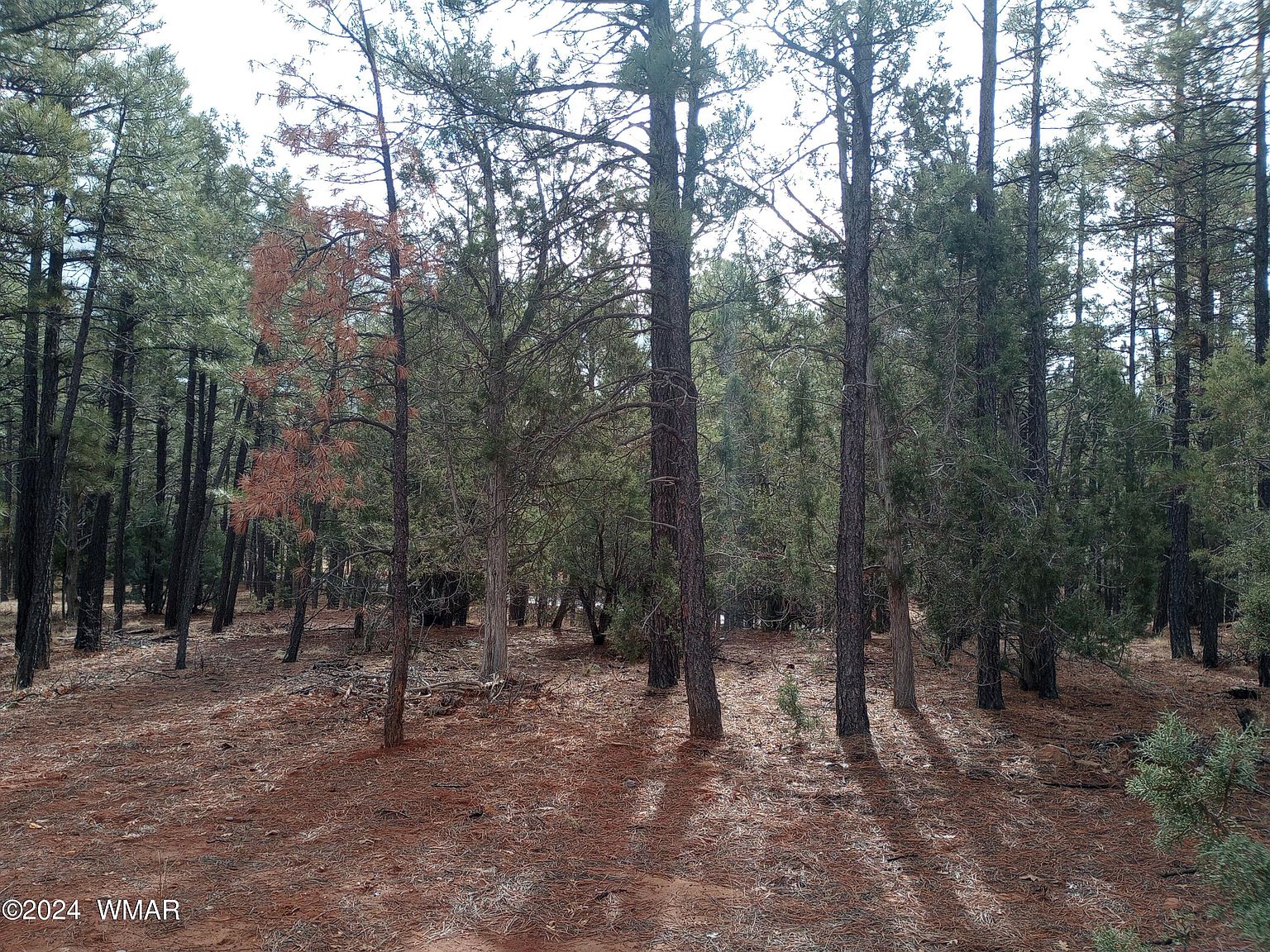 6922 Deuces Wild Rd, Show Low, AZ 85901 | Zillow