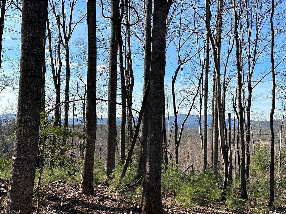 Tbd Red Hill Creek Rd, Dobson, NC 27017 | MLS #1137028 | Zillow