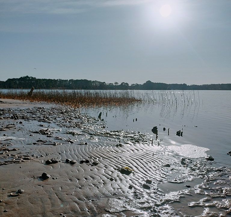 LOT 1 Bailey Beach Dr, Onancock, VA 23417 | Zillow