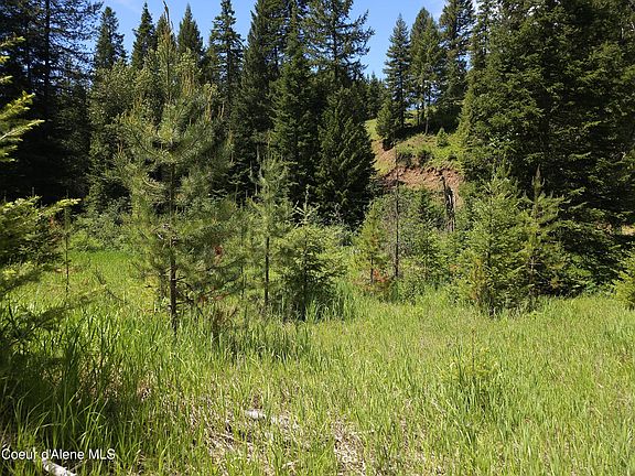 Nna4d Ryan Loop, Saint Maries, ID 83861 | Zillow