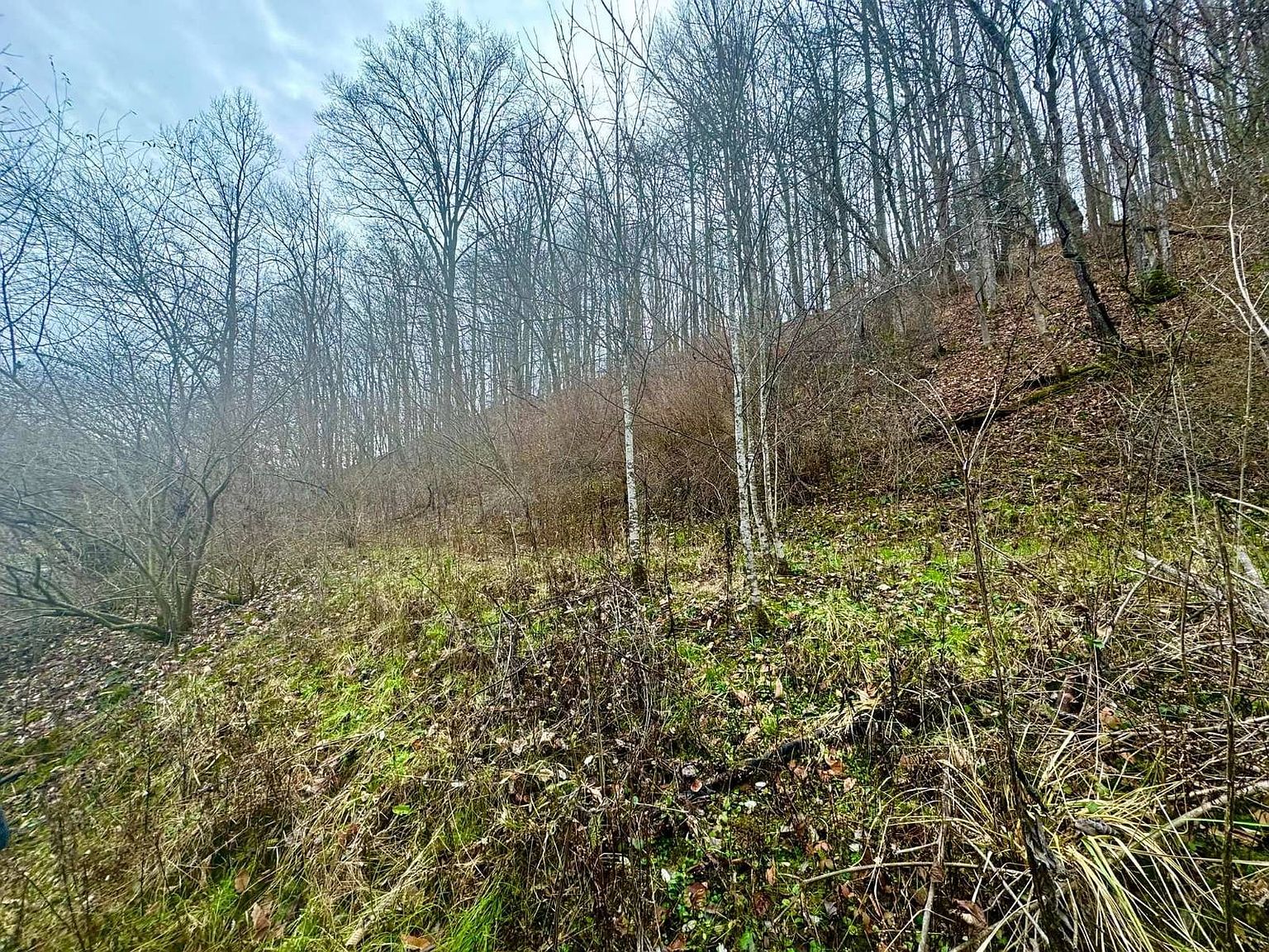 6900 Wallback Rd, Wallback, WV 25285 | MLS #11401067 | Zillow