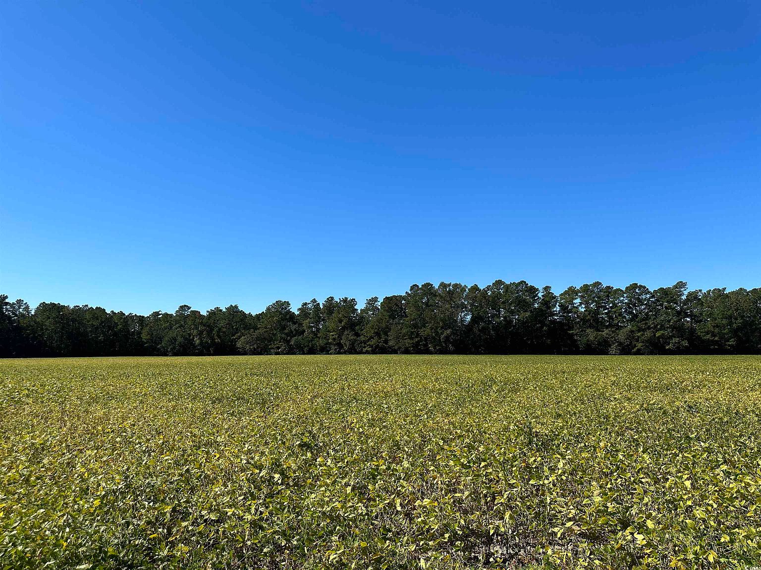 TBD Highway 527, Andrews, SC 29510 | Zillow