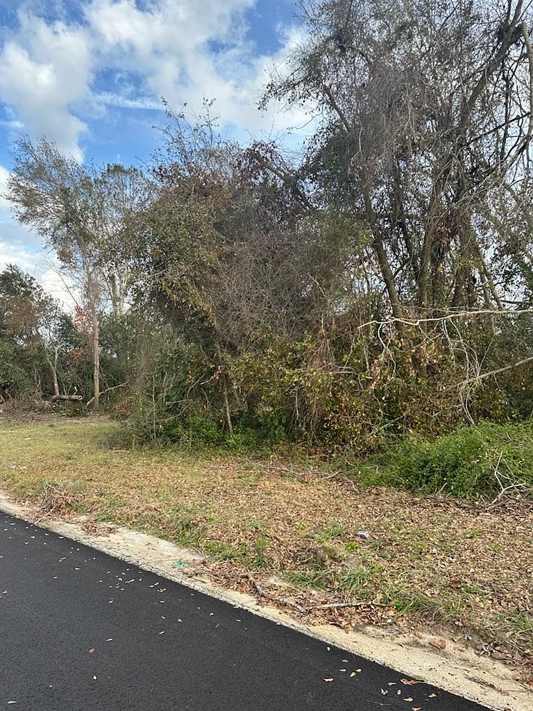 16 Loop Rd, Denton, GA 31532 | MLS #113902 | Zillow