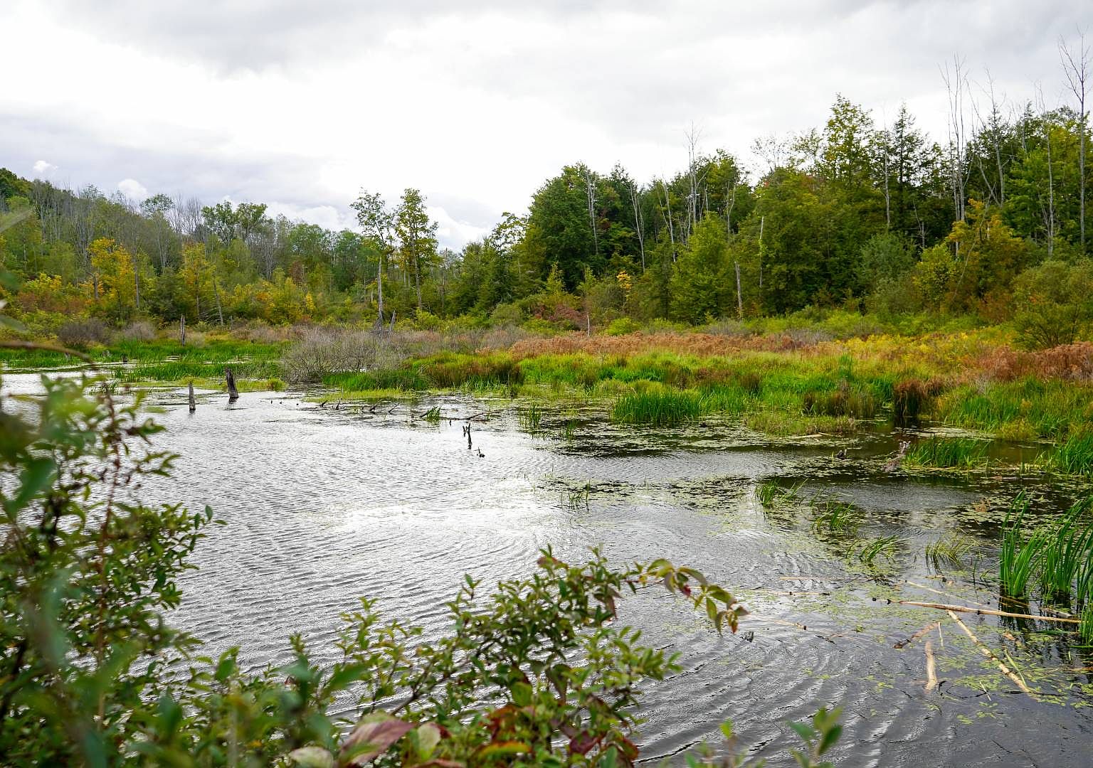 Vl 2 Bump Rd, Cameron, NY 14819 | Zillow