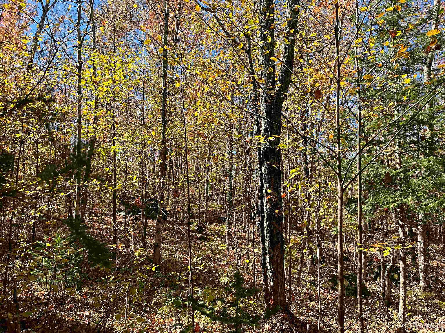 699 Cth U Rd, Florence, WI 54121 | Zillow