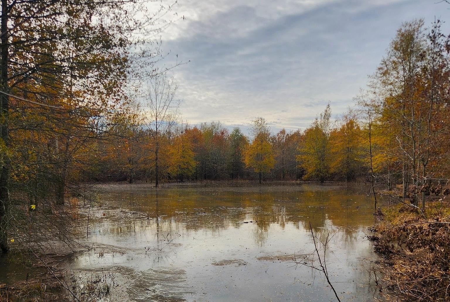 0 Alex Brown Rd, Sherrill, AR 72152 | MLS #25006271 | Zillow