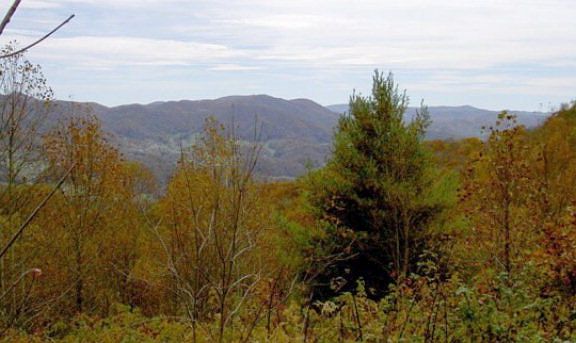 Tbd Kirby Branch Rd, Zionville, NC 28698 | Zillow