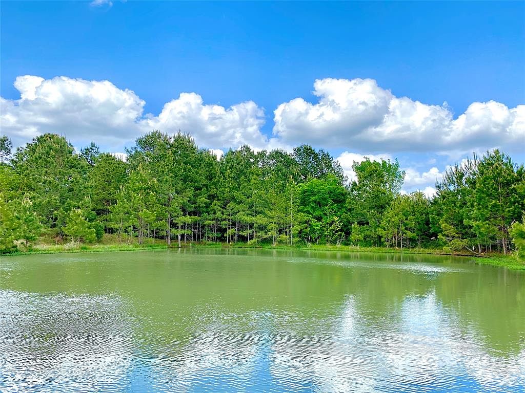 24846 Kickapoo Rd, Hockley, TX 77447 | Zillow