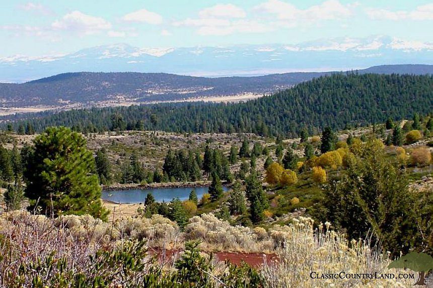 California Pines Hls UNIT 3, Alturas, CA 96101 | Zillow