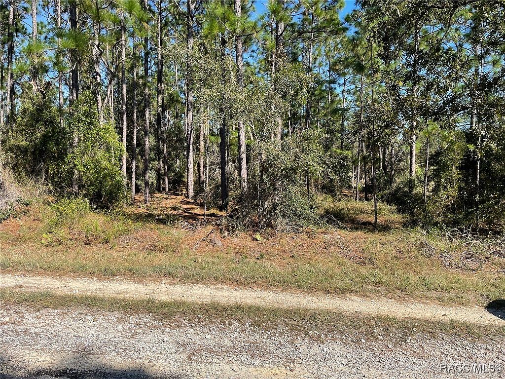 Lots 16 & 17 Southeast Ct #130, Dunnellon, FL 34431 | MLS #838457 | Zillow