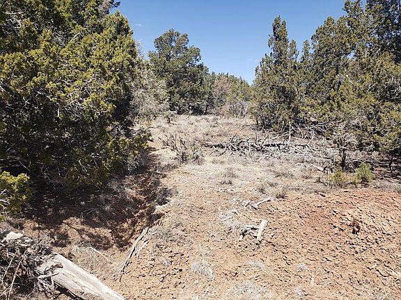 State Highway 595, Lindrith, NM 87029 | MLS #1031917 | Zillow