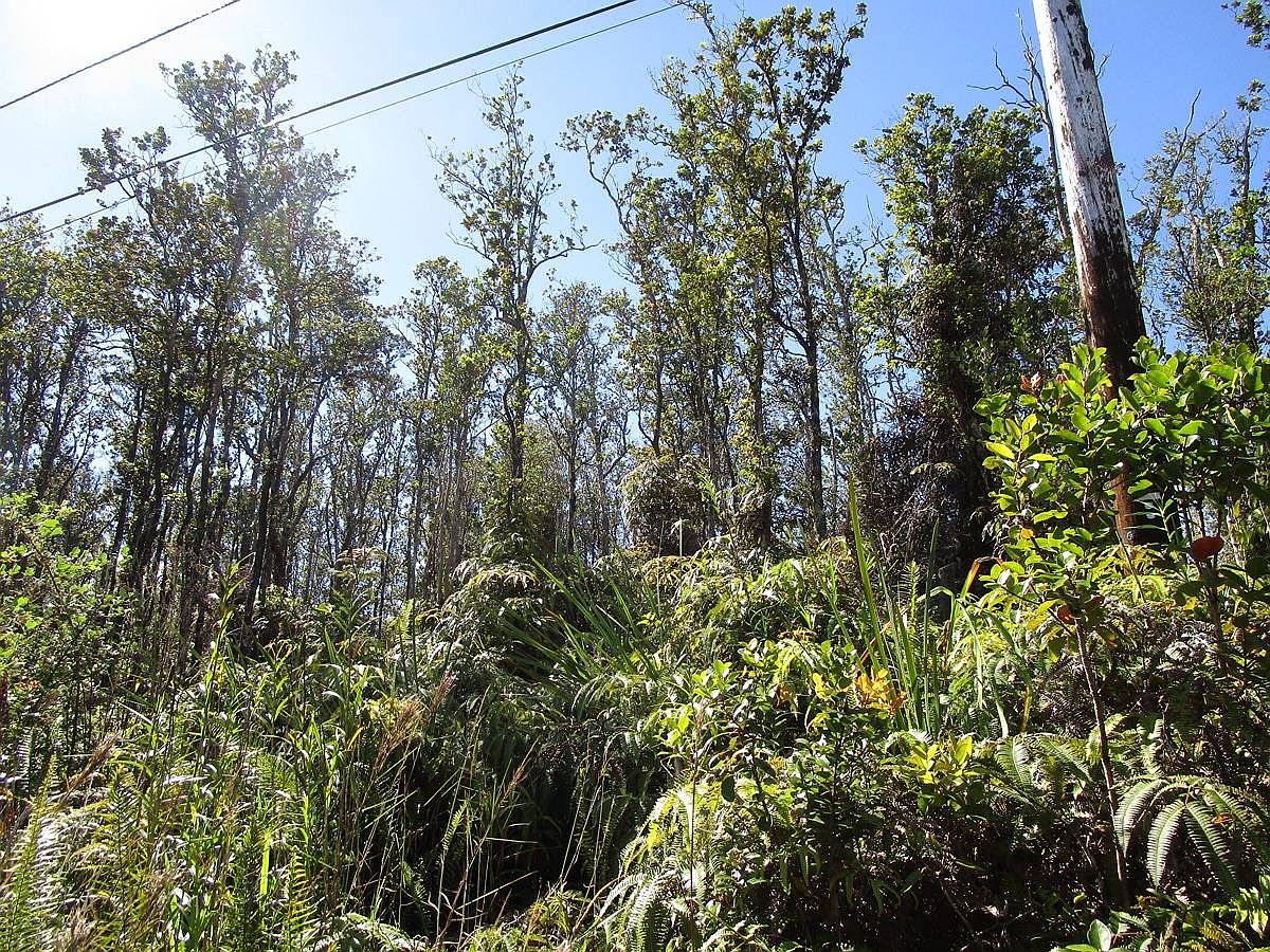 44 Kahaualea Rd, Volcano, HI 96785 | Zillow