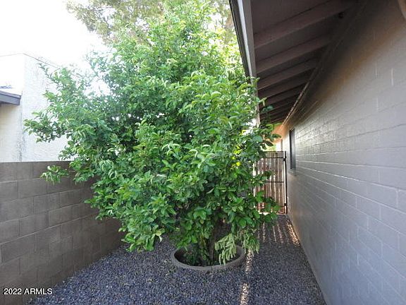 15031 N 23rd Pl, Phoenix, AZ 85022 | MLS #6462204 | Zillow