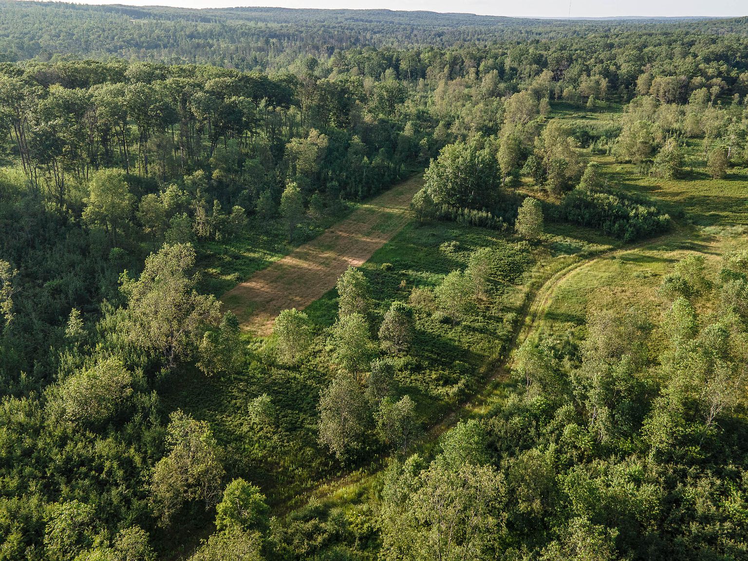 Nhn Ritchie Rd, Lincoln, MI 48742 | MLS #201830662 | Zillow