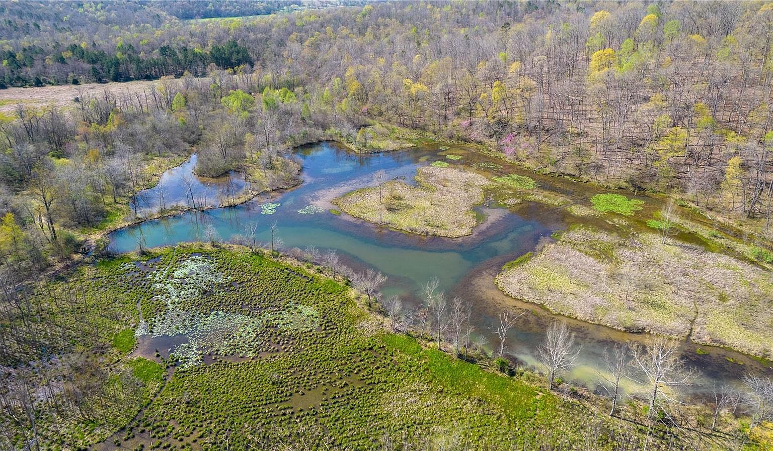 0 County Road 224, Lowndes, MO 63951 | Zillow