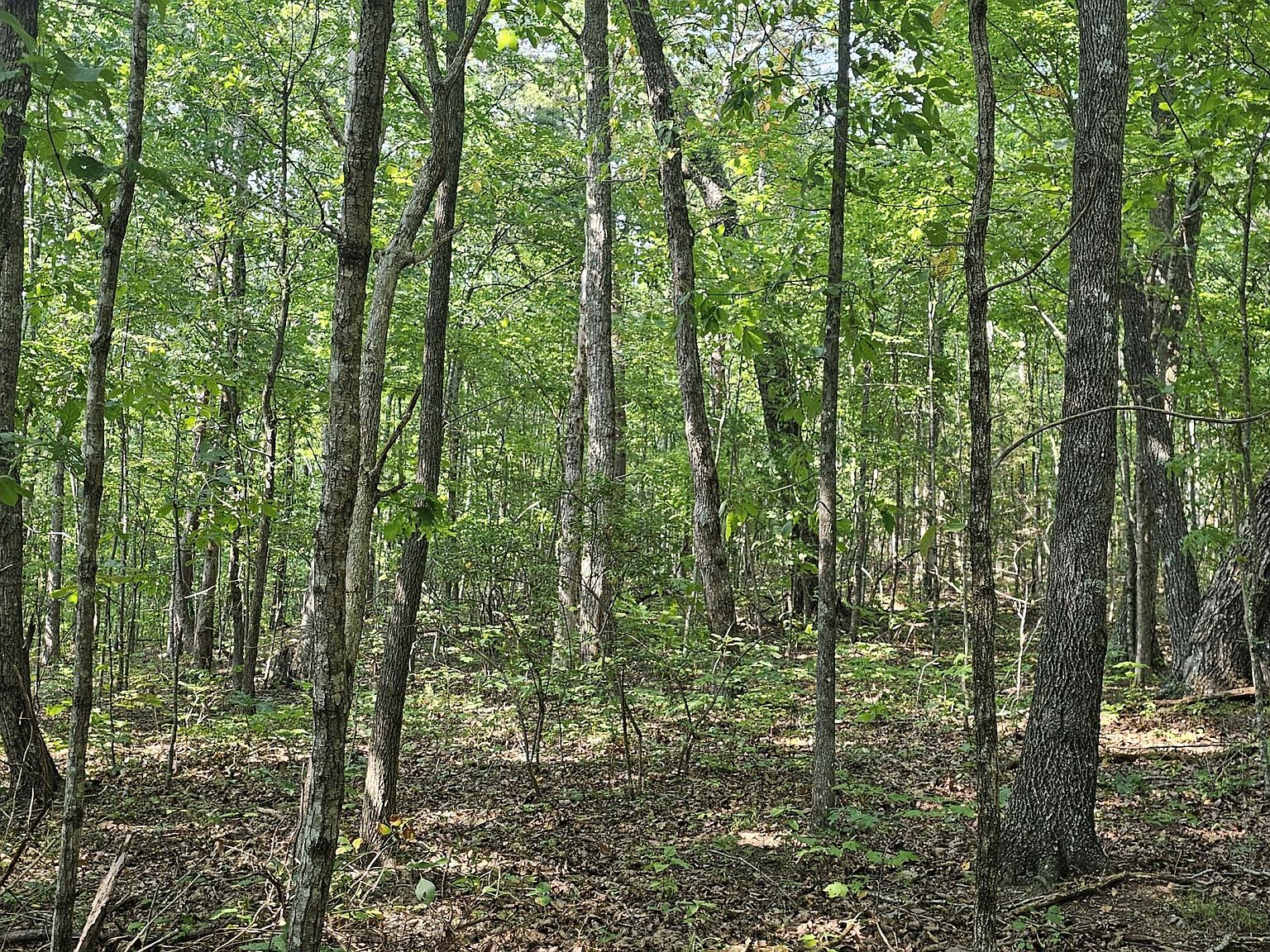 266 Cove Hill Rd, Pikeville, TN 37367 | MLS #1397340 | Zillow