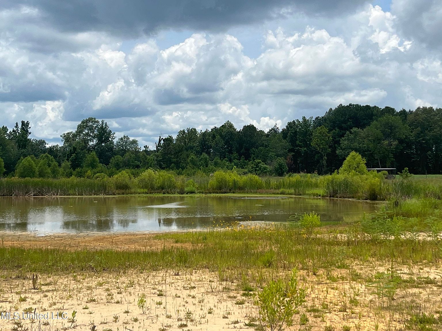 Willeaner Dr, Pearl, MS 39208 | MLS #4084139 | Zillow