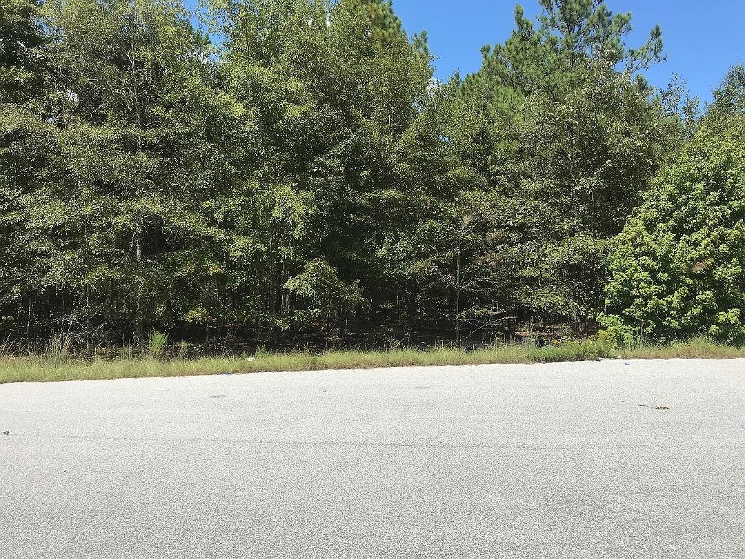 1101 Cheyenne Ct, Manning, SC 29102 | Zillow