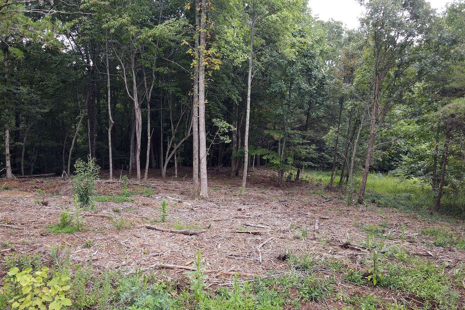 61-62 Tracy St, Blairsville, GA 30512 | Zillow