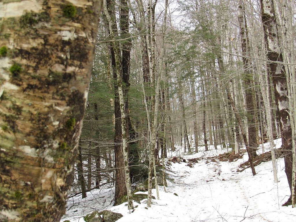 LOT Pynchon Rd #A, Chesterfield, MA 01012 | MLS #73342894 | Zillow