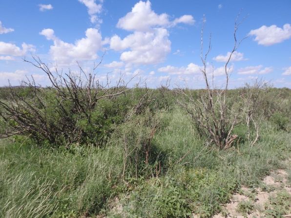 Alpine Real Estate - Alpine TX Homes For Sale | Zillow