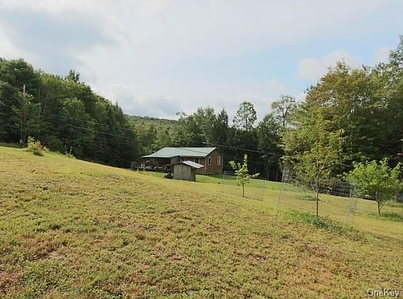 45 Little Ireland Rd, Livingston Manor, NY 12758 | MLS #H6066031 | Zillow