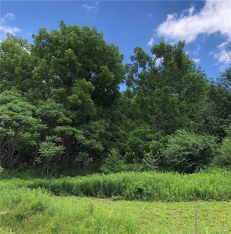 Rockefeller Rd, Rockefeller, NY 13118 | Zillow