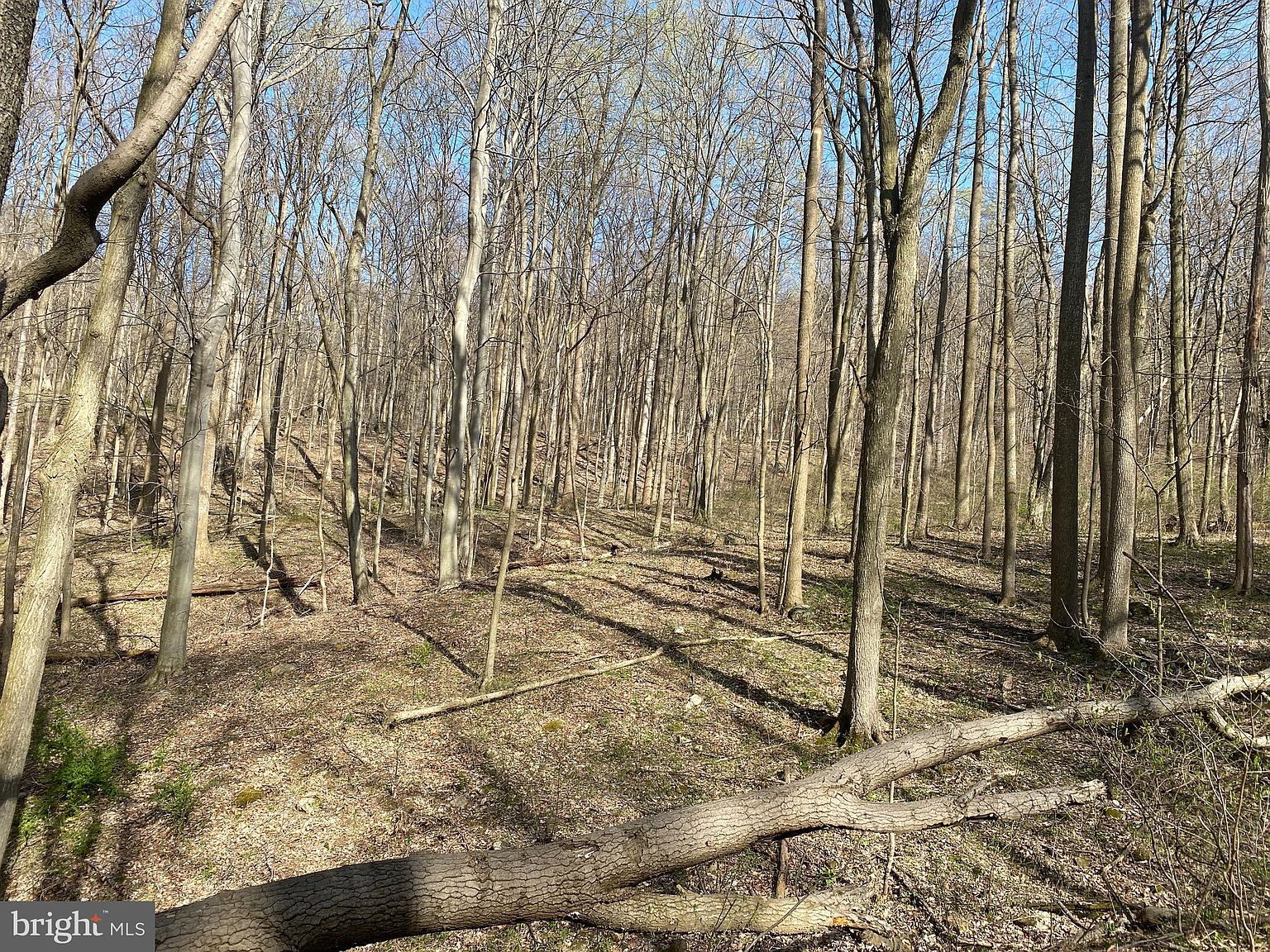 Burd Rd, Fort Loudon, PA 17224 | Zillow