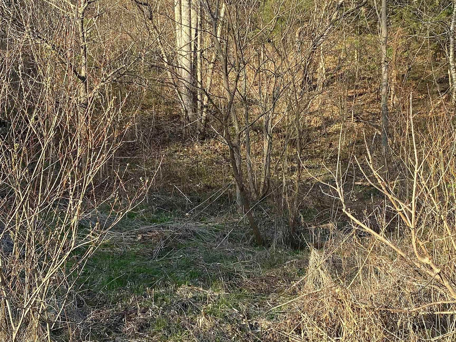 Georges Run Rd, Shawsville, VA 24162 | Zillow