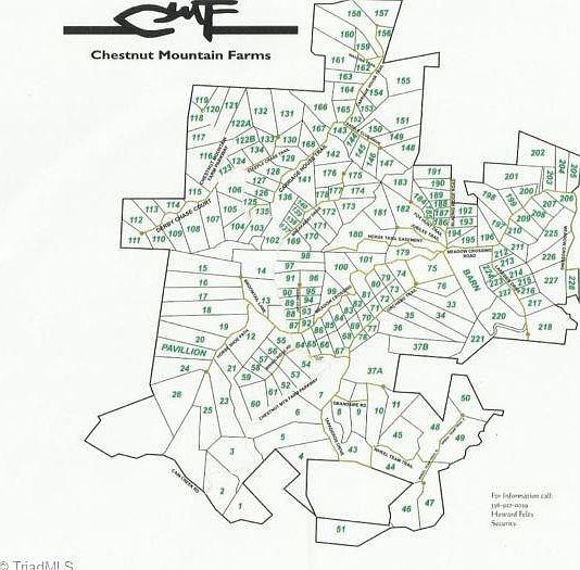 LOT 52 Chestnut Mountain Farms Pkwy, Mc Grady, NC 28649 | MLS #960183 ...