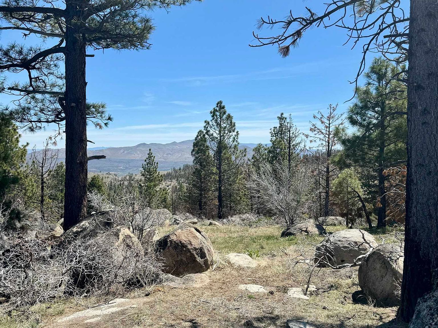 434-100 Diamond Mountain Rd, Doyle, CA 96109 | MLS #20240542 | Zillow