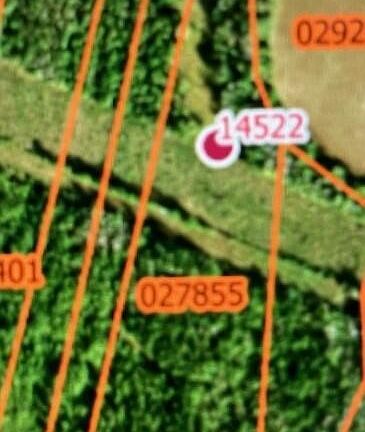 14522 Old Lake Road, Riegelwood, NC 28456 | Zillow