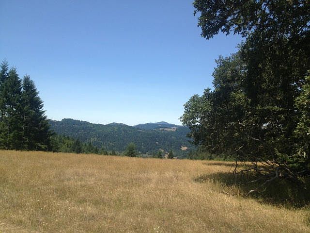 320 Acre Alderpoint Rd, Blocksburg, CA 95514 | Zillow