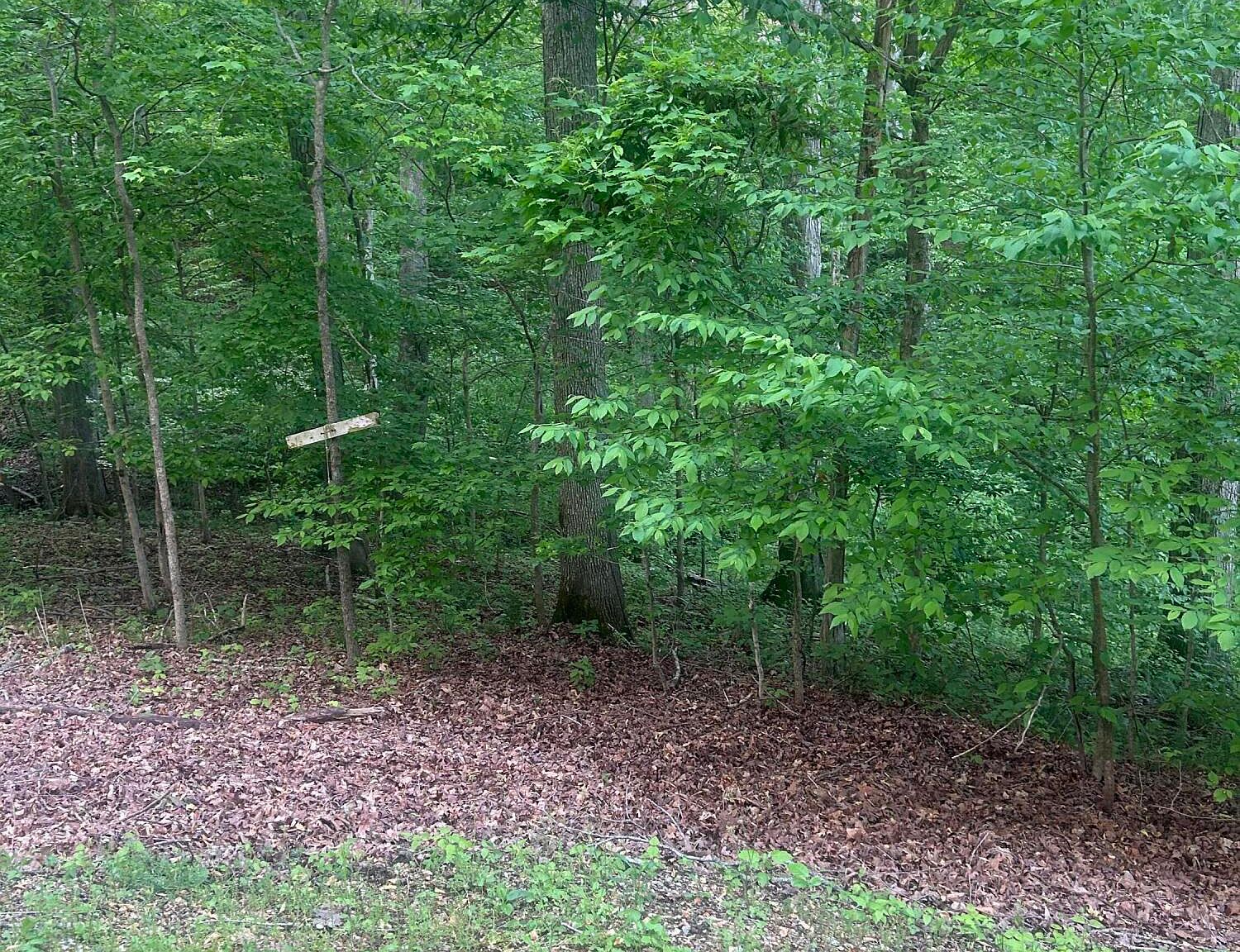 0 Cedar Ln, Sugar Tree, TN 38380 | MLS #2501845 | Zillow