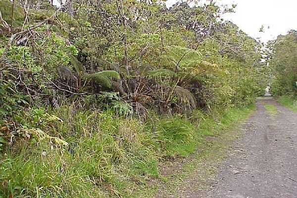 Kalani Honua Rd, Volcano, HI 96785 | Zillow