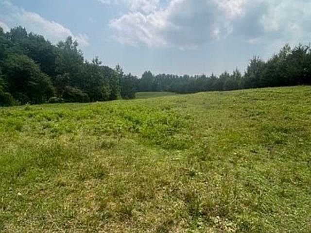 3246 County Road 92, Rogersville, AL 35652 | Zillow