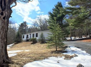 49 Ryan Rd, Hunter, NY 12442 | MLS #485821 | Zillow