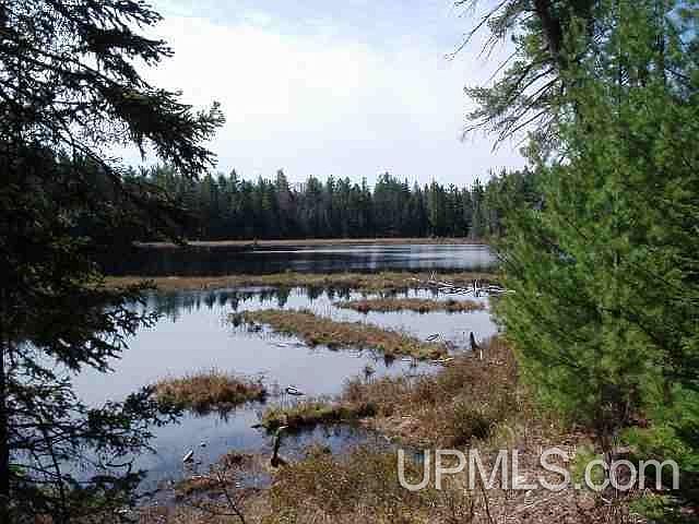 Tanglefoot Lake Co Road Ccf, Ishpeming, MI 49849 | MLS #50118420 | Zillow