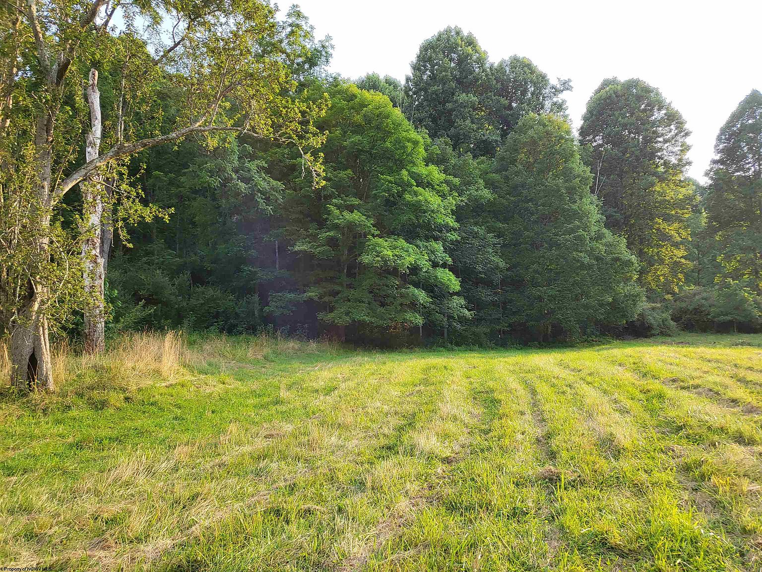 0 Long Run Rd, Napier, WV 26631 | Zillow