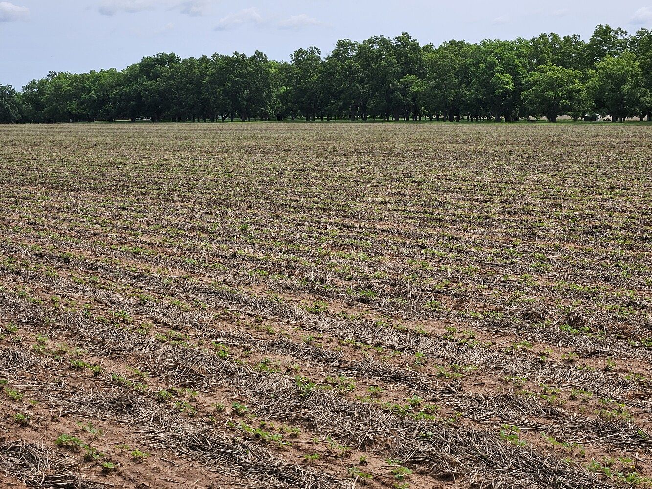 0 County Road 73, Midland City, AL 36350 | Zillow