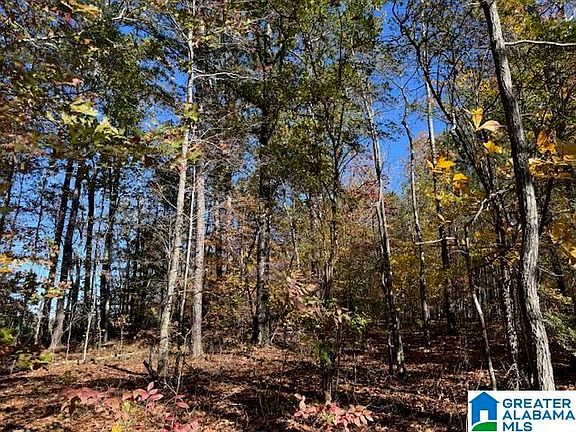 County Road 823, Wadley, AL 36276 | MLS #21404630 | Zillow