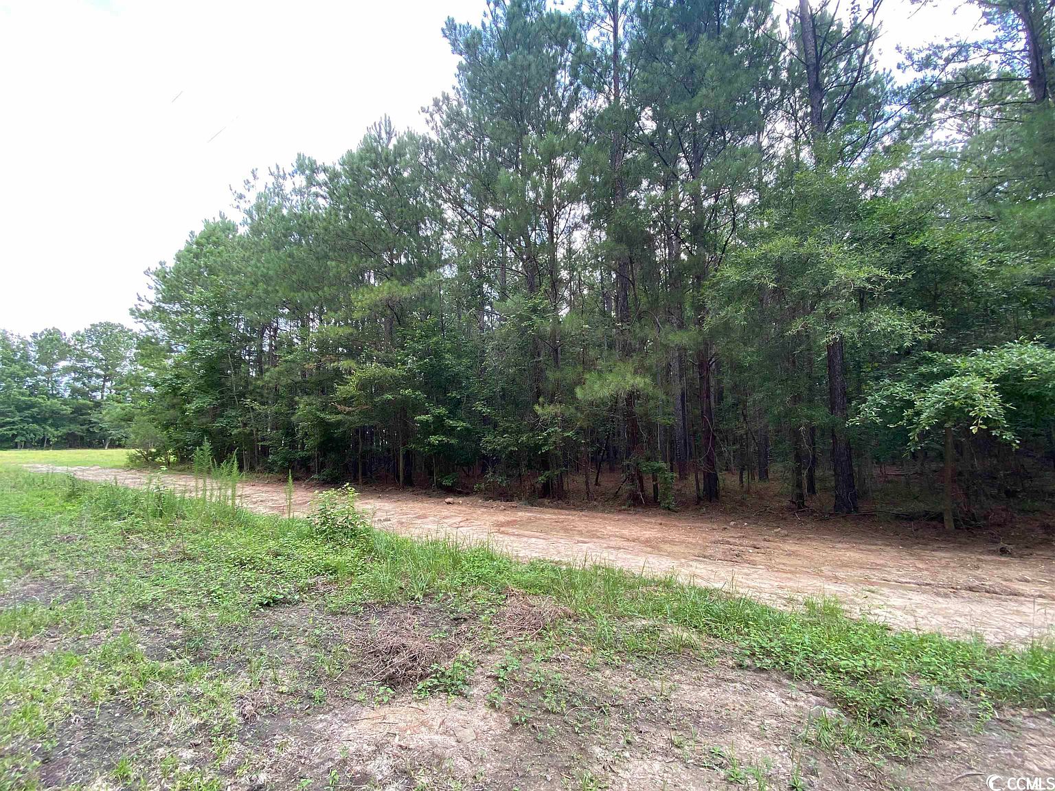 Wilbur Dunn Pl. Lot 7, Conway, SC 29526 | Zillow