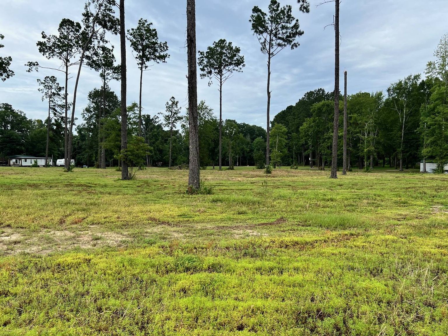 0 Pine Thicket Rd #22, Many, LA 71449 | MLS #11358716 | Zillow