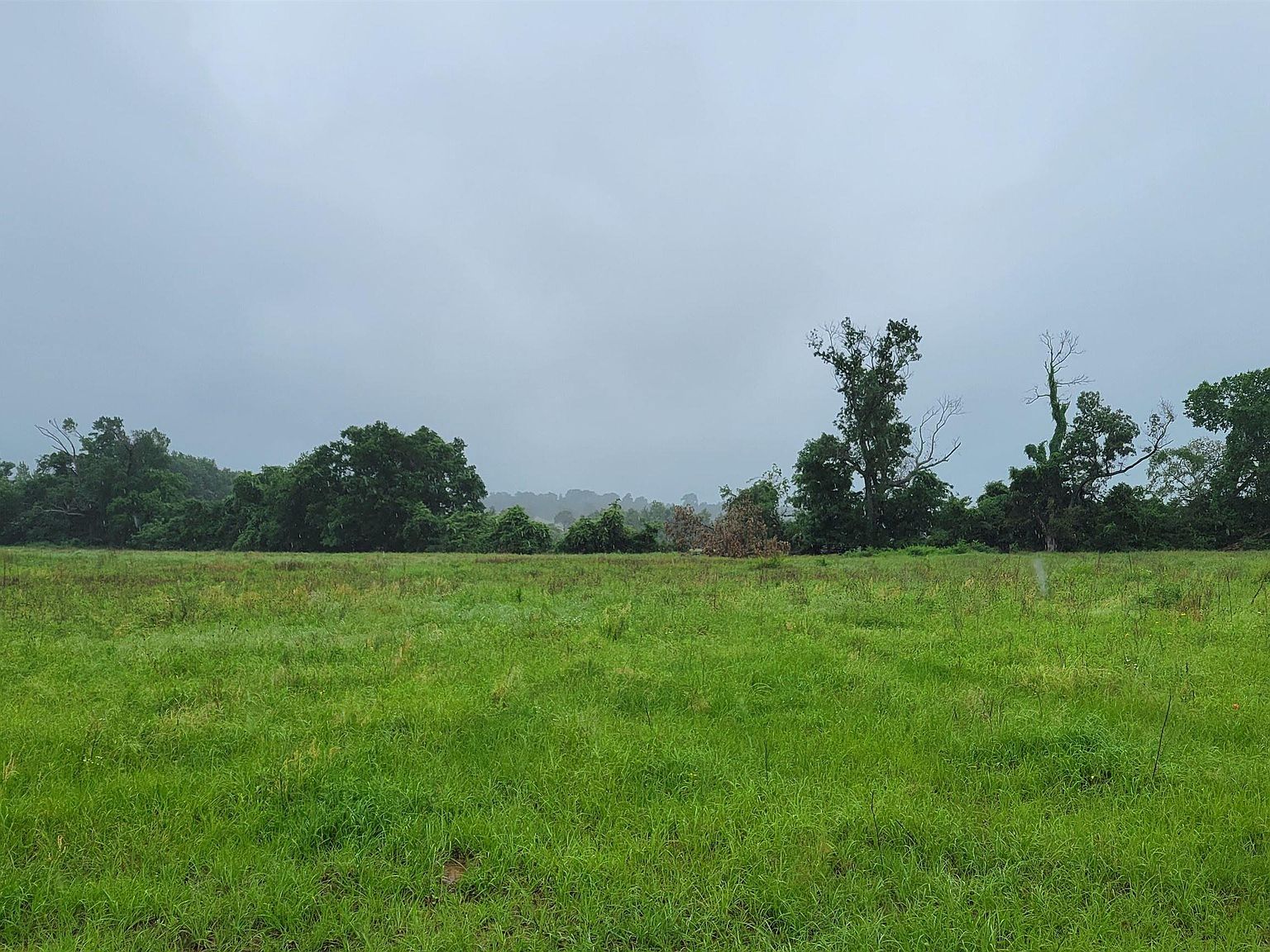 19764 E Fm 837, Frankston, TX 75763 | MLS #24006507 | Zillow