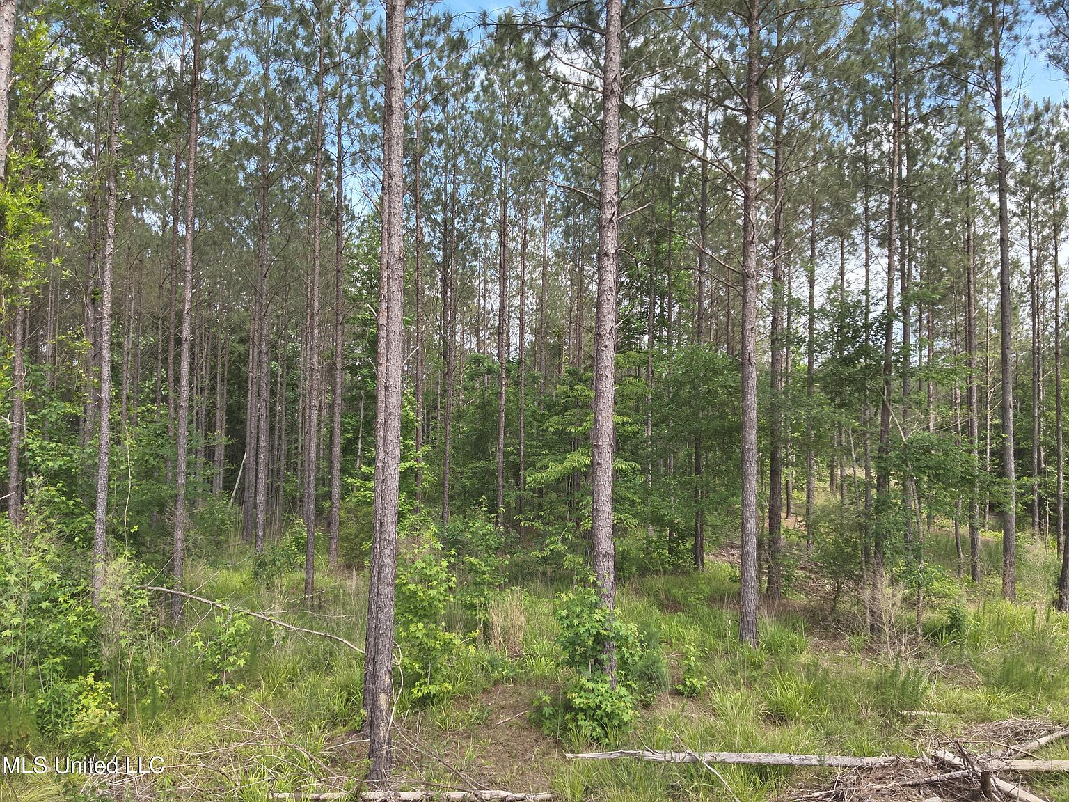 429 Highway, Sallis, MS 39160 | MLS #4050233 | Zillow