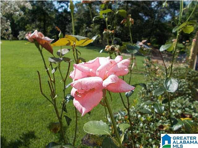 15023 Lock 17 Rd #1, Adger, AL 35006 | Zillow